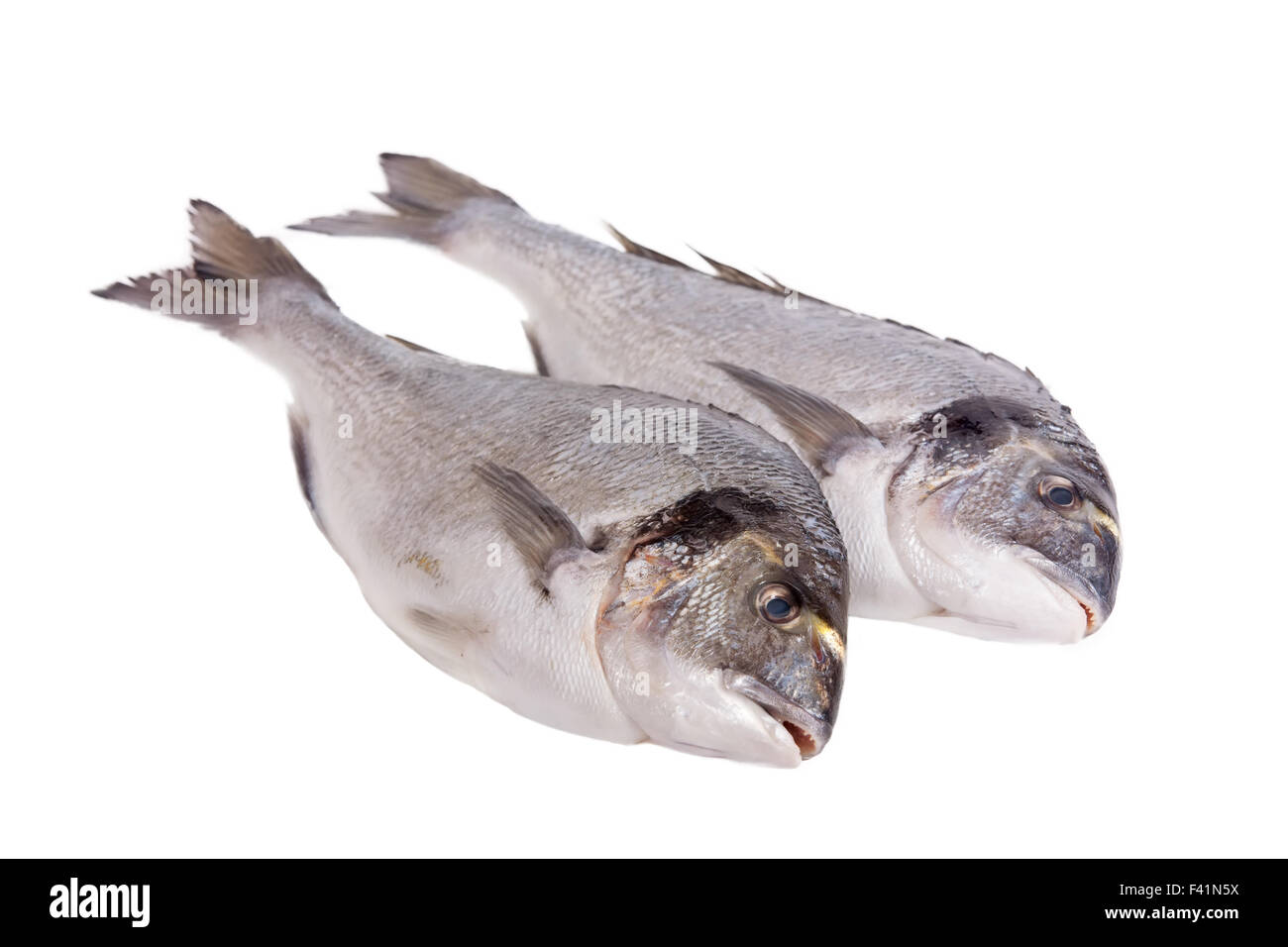 View fish market on Cut Out Stock Images & Pictures - Alamy