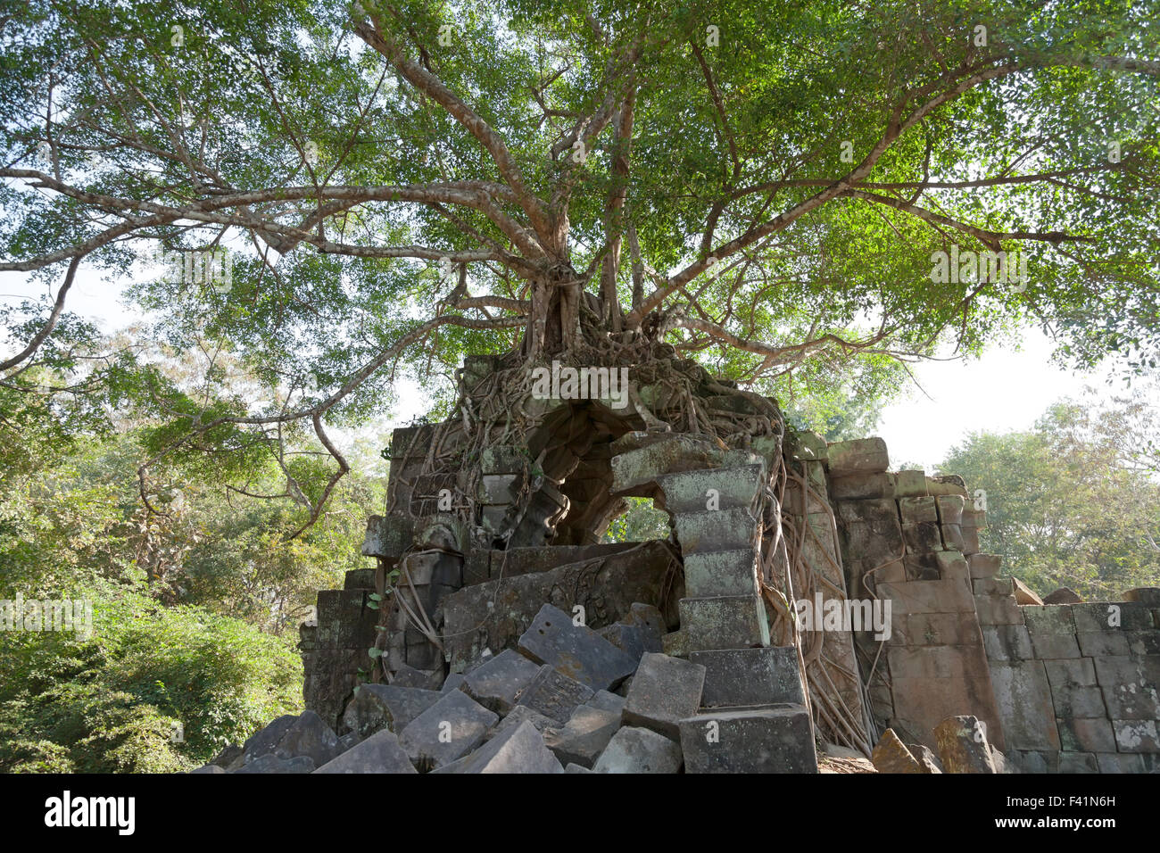 Beng mealea temple in hi-res stock photography and images - Alamy