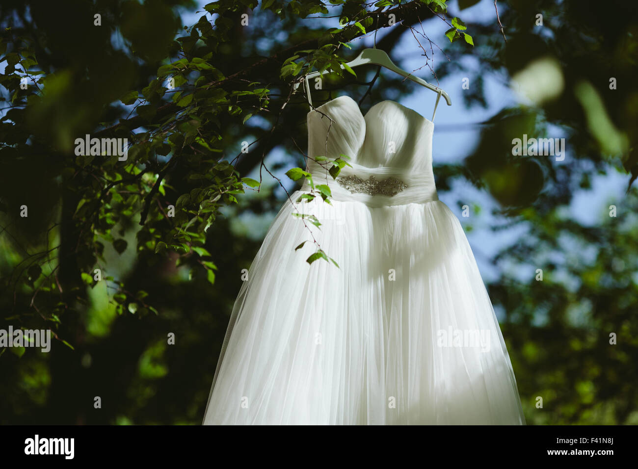 Wedding dress hanging on a tree Stock Photo - Alamy