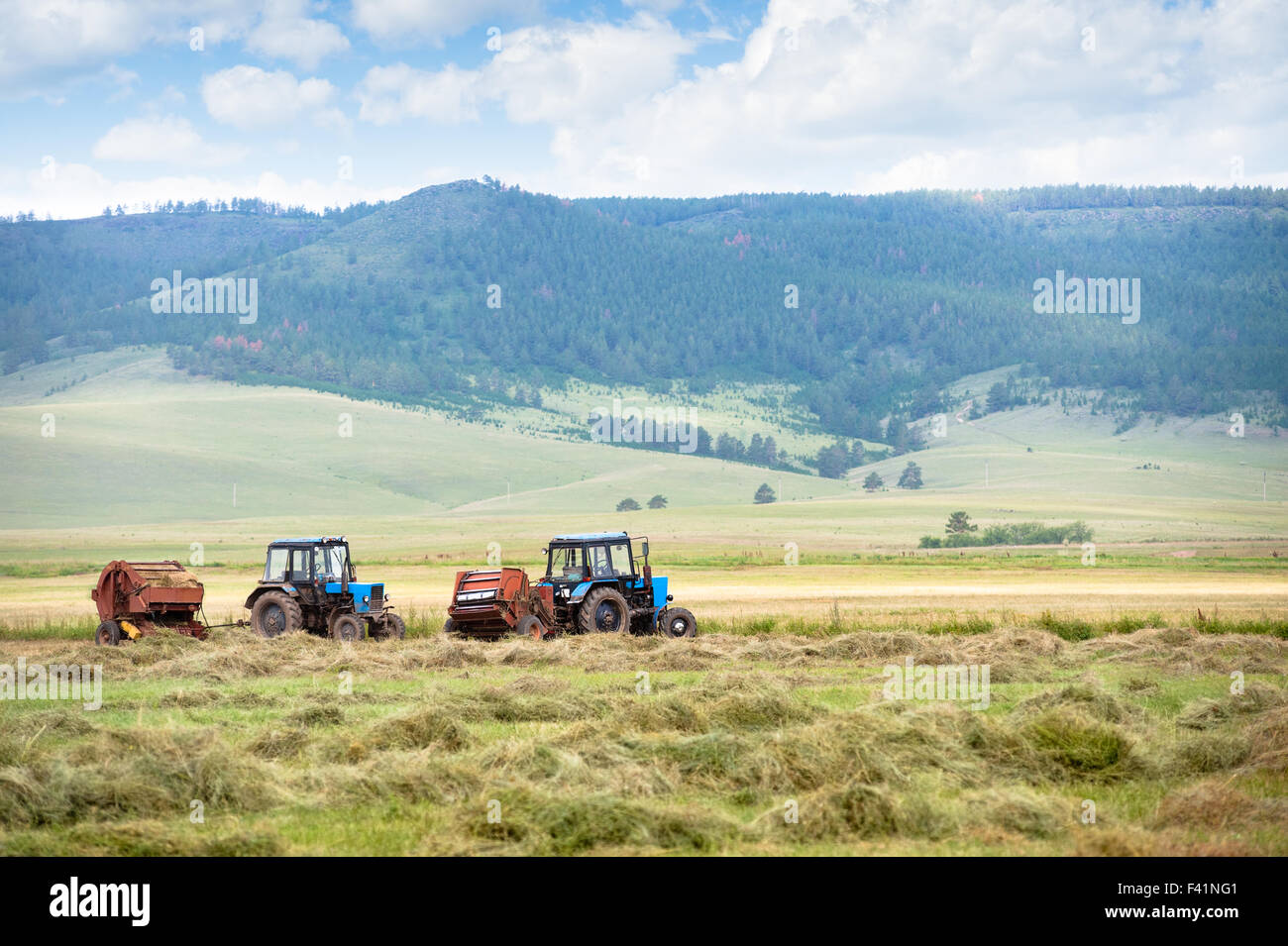 Harvesting process hi-res stock photography and images - Alamy