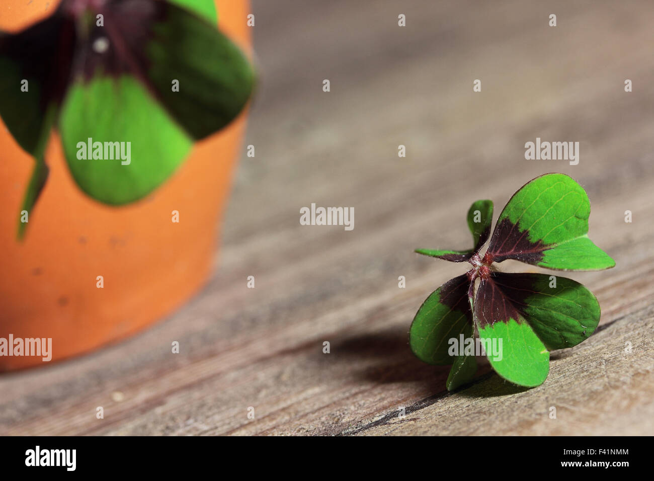 Kleeblatt symbol hi-res stock photography and images - Alamy
