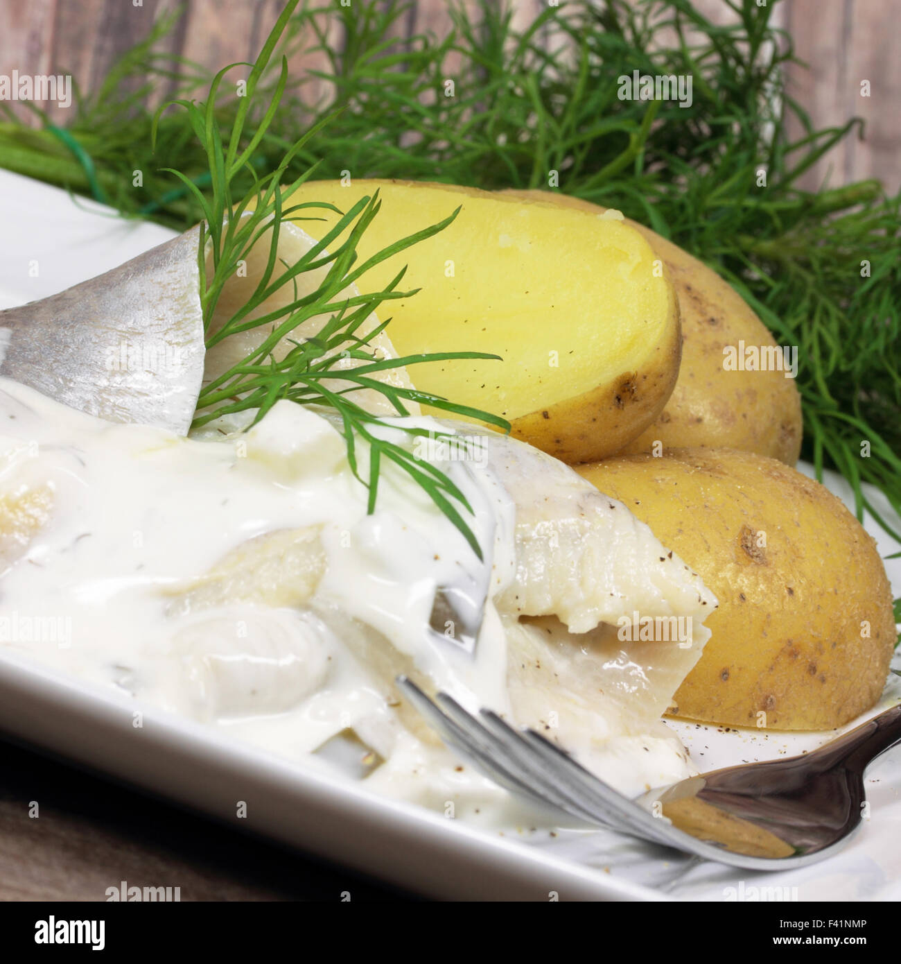 Matjes herring filet hi-res stock photography and images - Alamy