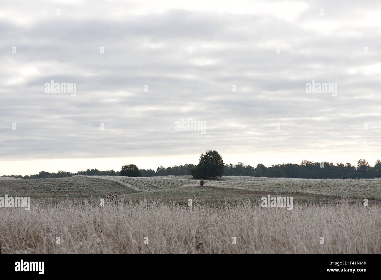 Lithuanian landscape hi-res stock photography and images - Alamy