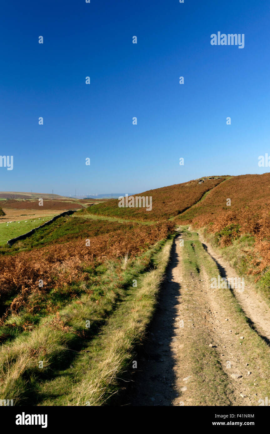 Footpath along the ancient Sengenydd Dyke, on hillside above the Aber ...
