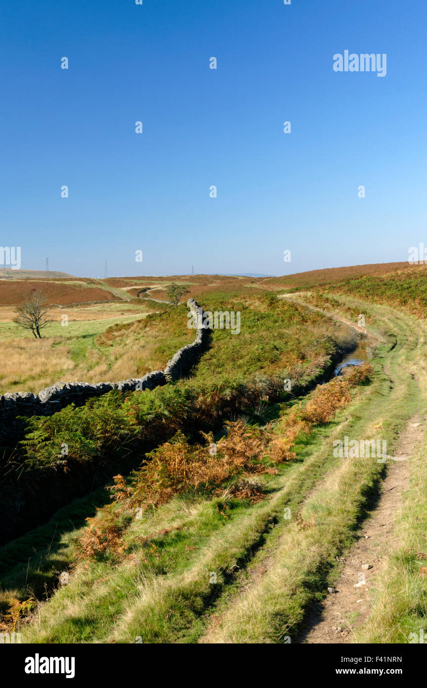 Footpath along the ancient Sengenydd Dyke, on hillside above the Aber ...