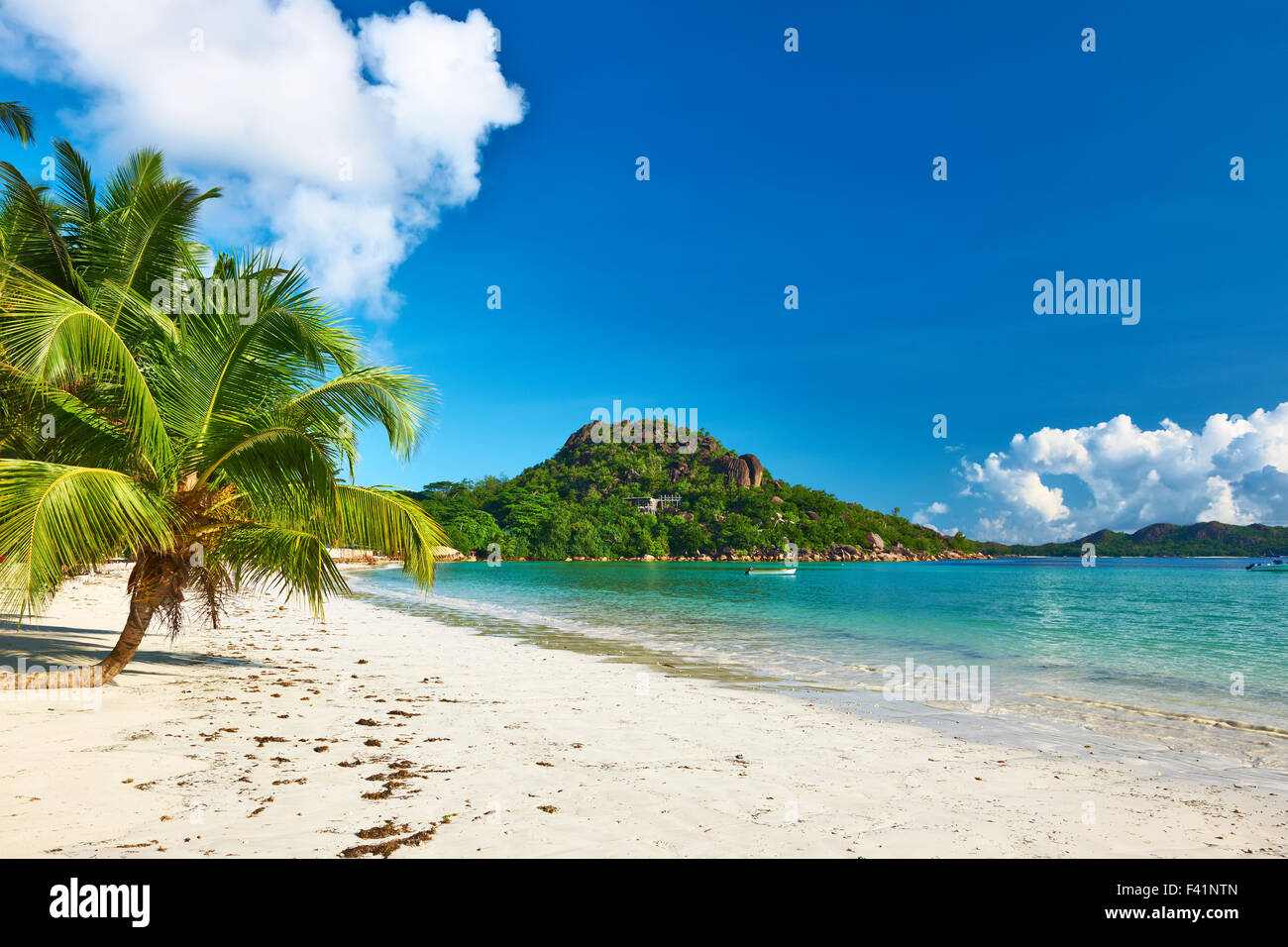 Beautiful beach with palm tree at Seychelles Stock Photo - Alamy