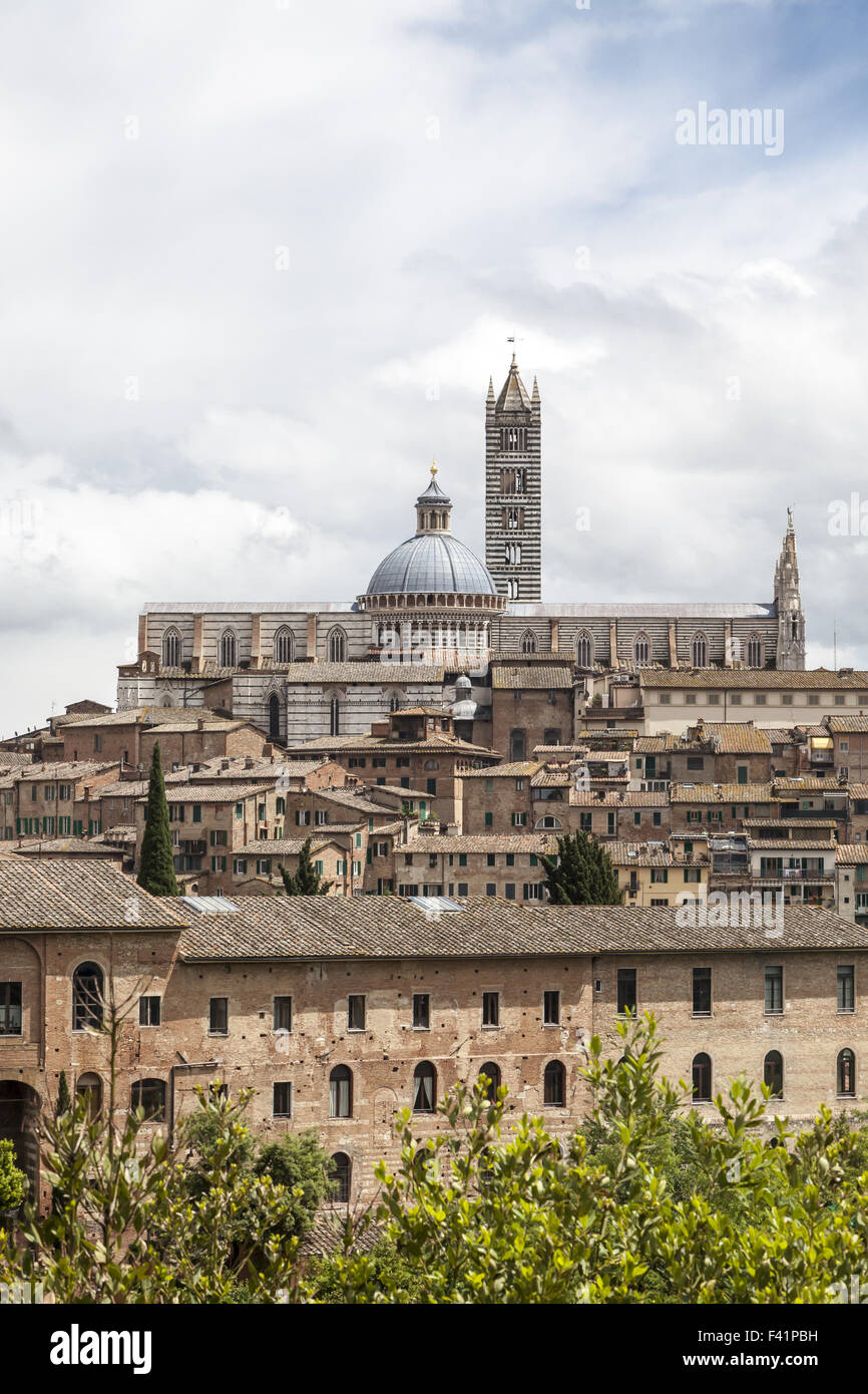 Siena, Cathedral Santa Maria Assunta, Italy Stock Photo - Alamy