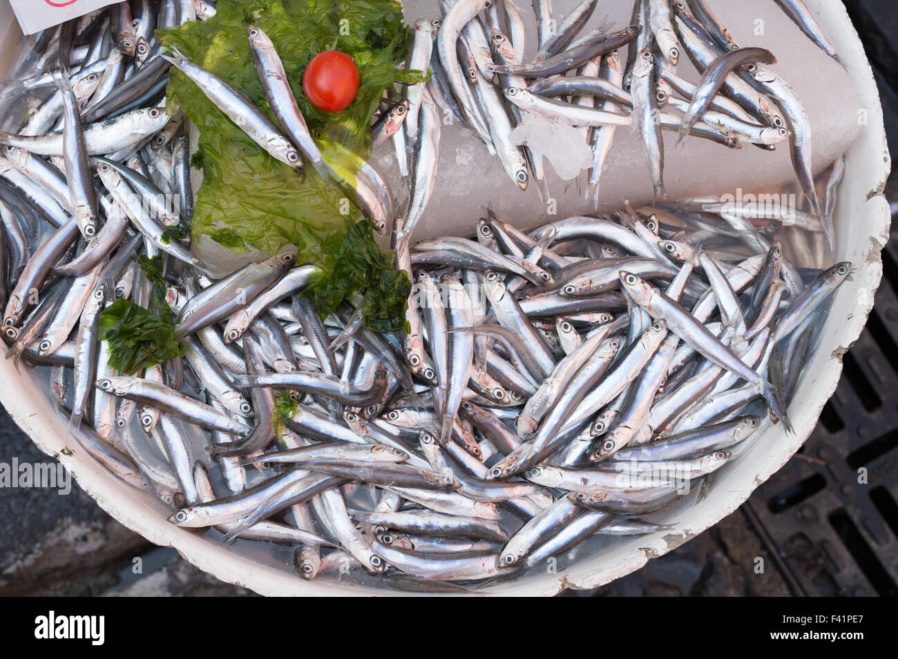 Young anchovies hi-res stock photography and images - Alamy