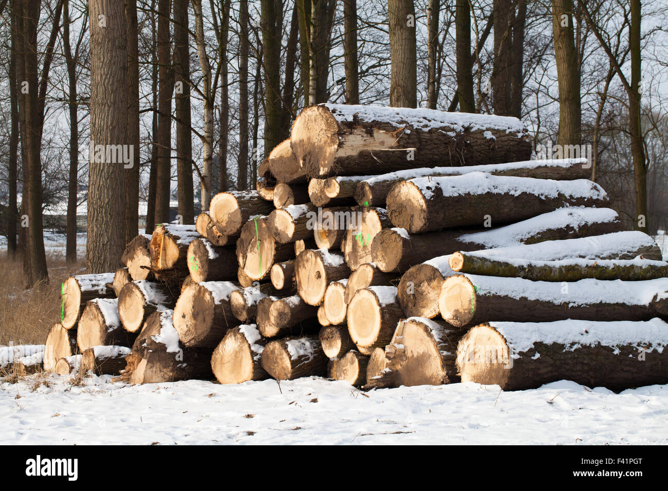 Logs Stacked High Resolution Stock Photography and Images - Alamy