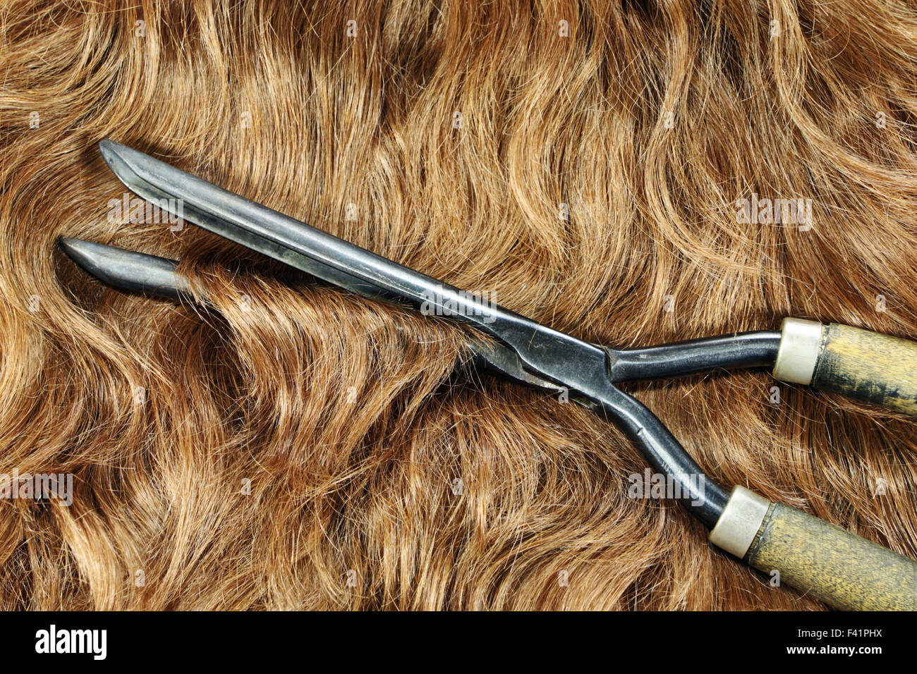 Hot irons hi-res stock photography and images - Alamy