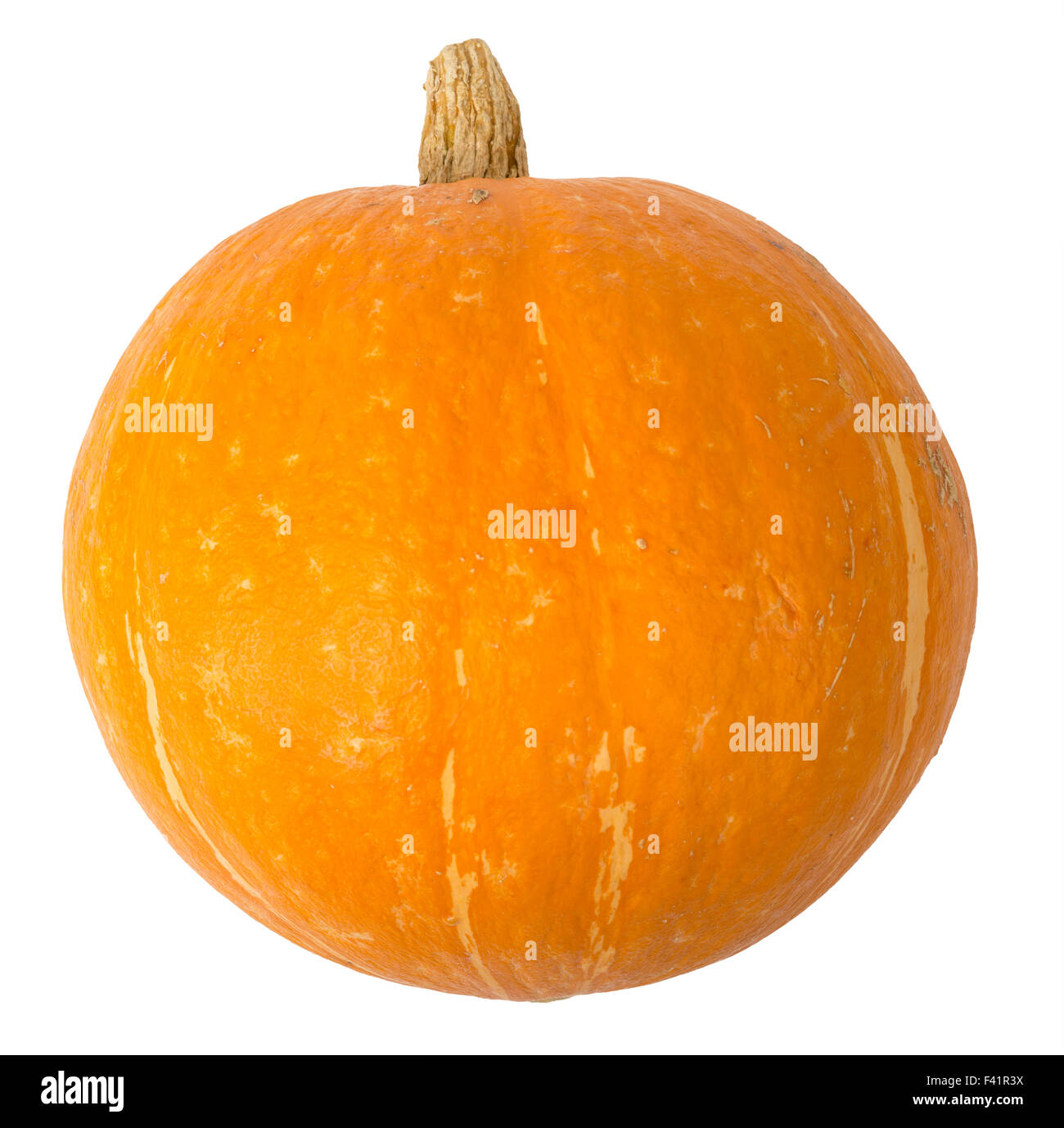 Pumpkin on white, front view Stock Photo - Alamy