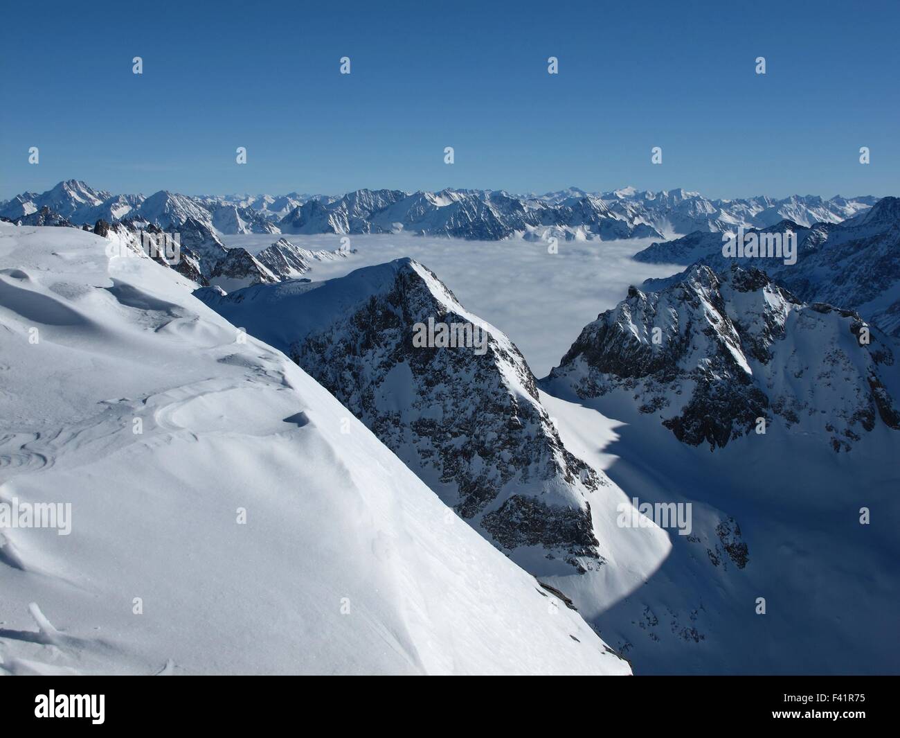 Harsh side of nature hi-res stock photography and images - Alamy