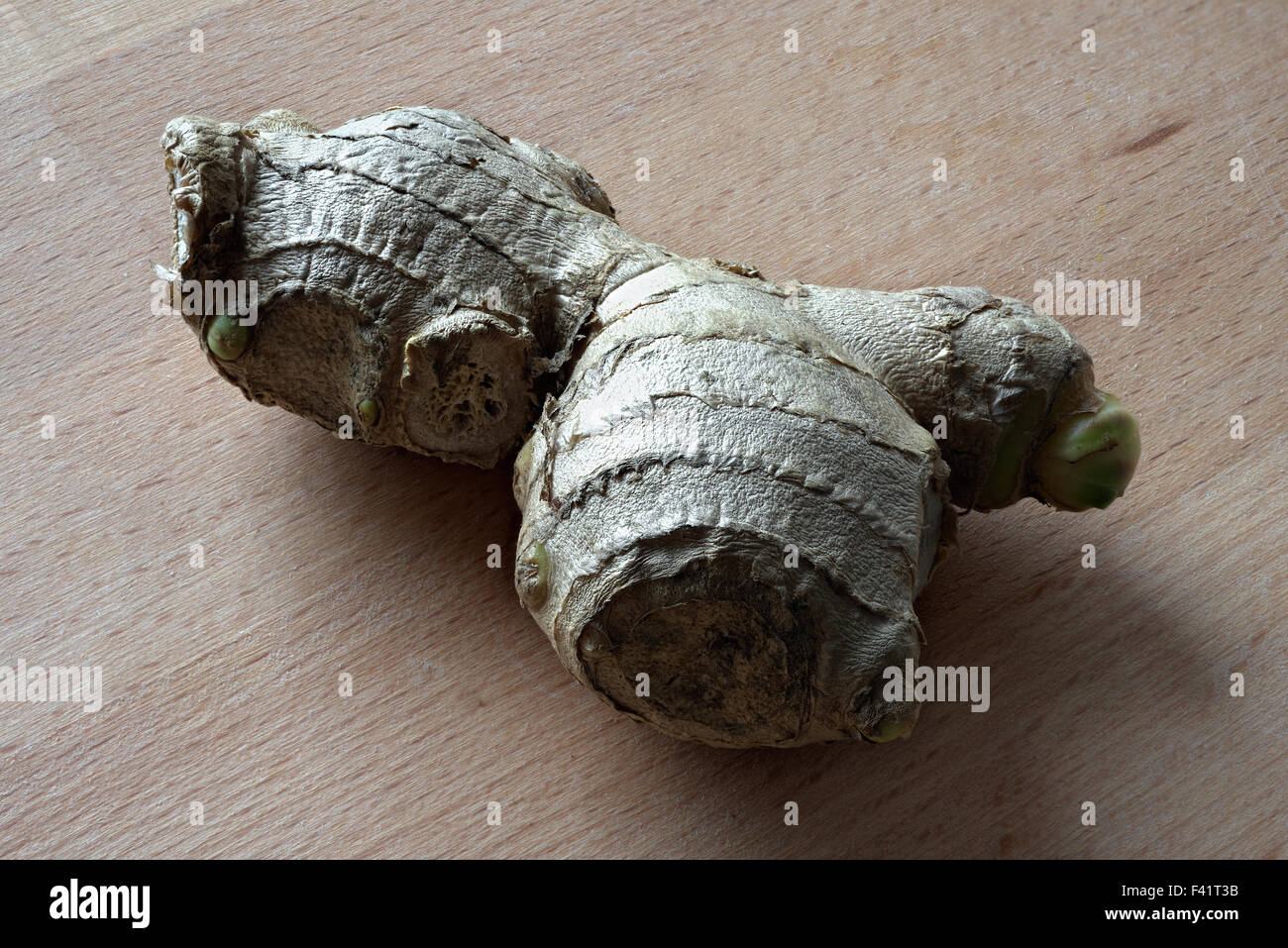 Root cut hi-res stock photography and images - Alamy