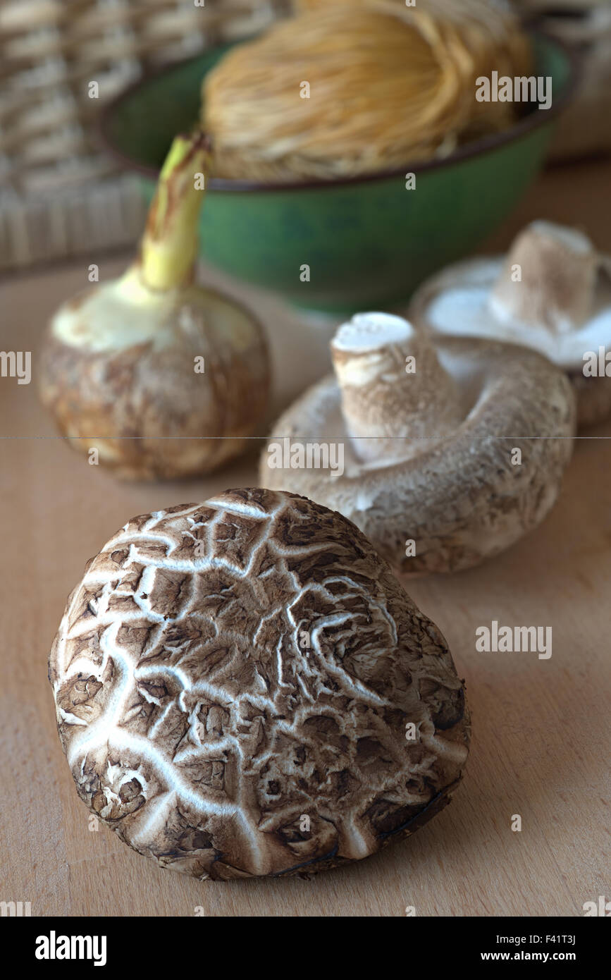 Chinesische pilze hi-res stock photography and images - Alamy