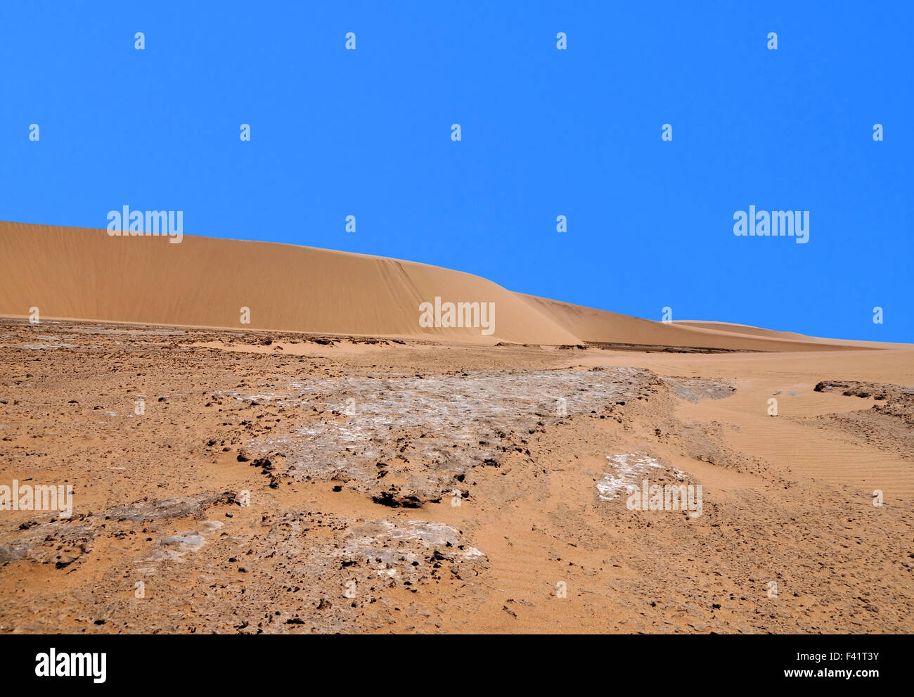 Sand dune and dry river bed Stock Photo - Alamy