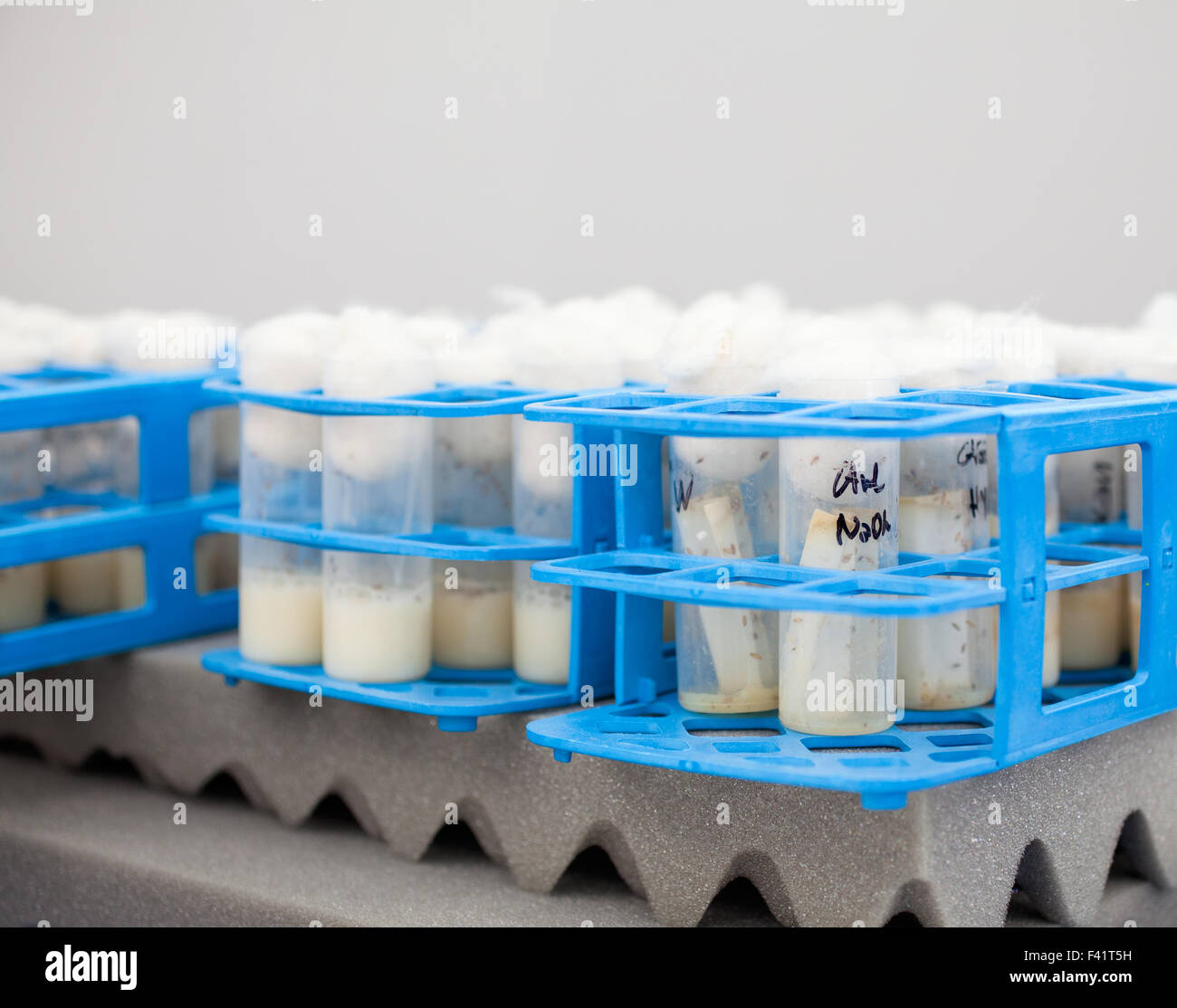 Doctor laboratory tubes hi-res stock photography and images - Alamy