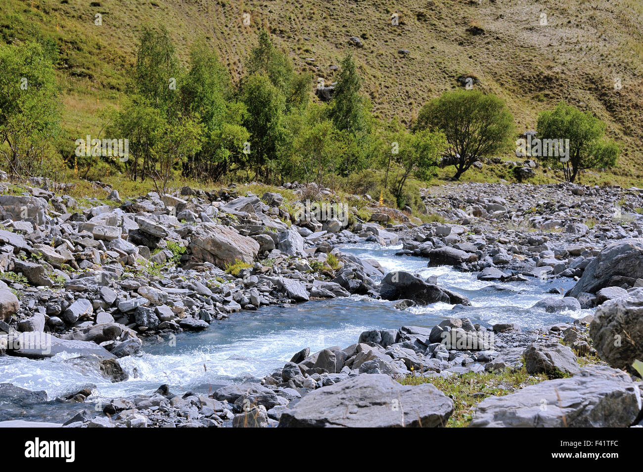 Wild blue mountain river and landscape with shiny light green trees ...