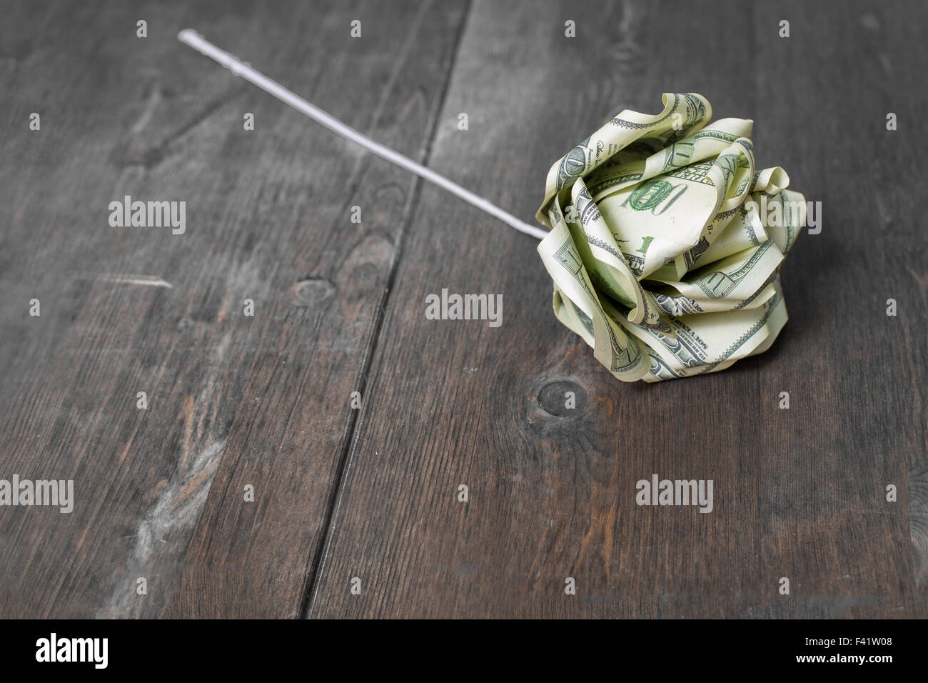Hundred leaf rose rose hi-res stock photography and images - Alamy