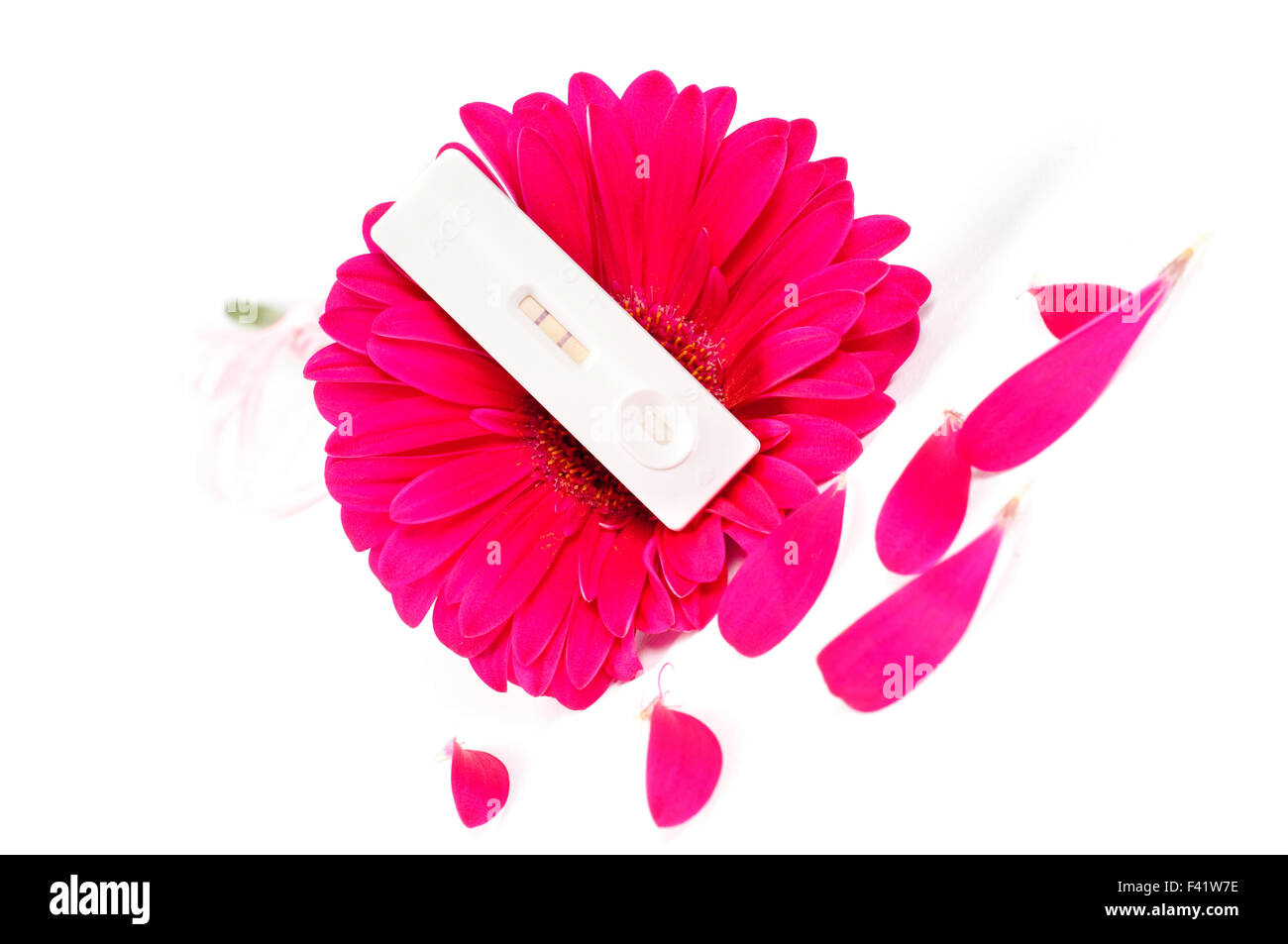 Pregnancy hormone Cut Out Stock Images & Pictures - Alamy