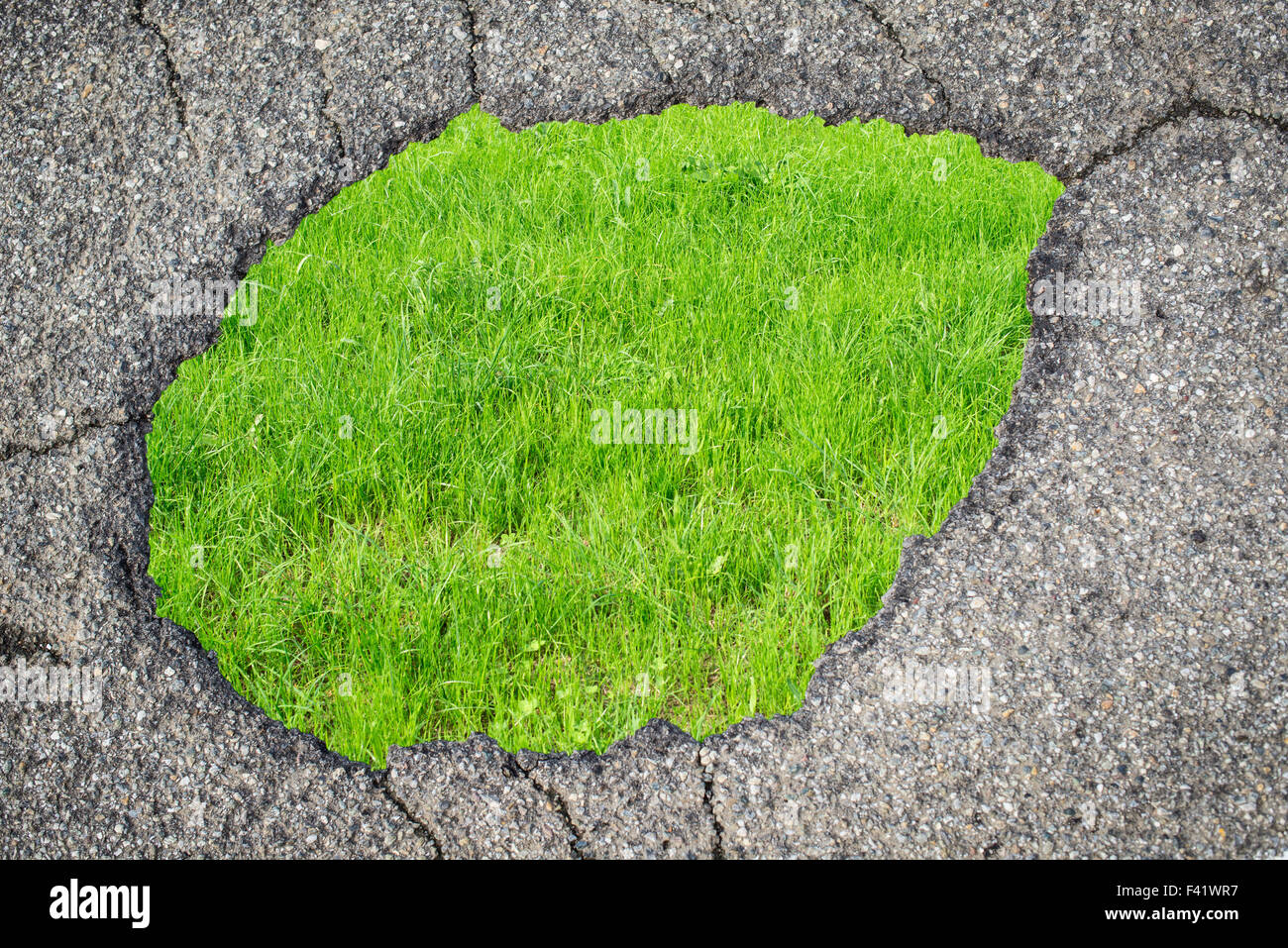Road ecology hi-res stock photography and images - Alamy