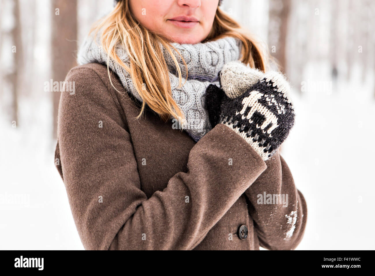 Mitten white snowflake pattern hi-res stock photography and images - Alamy