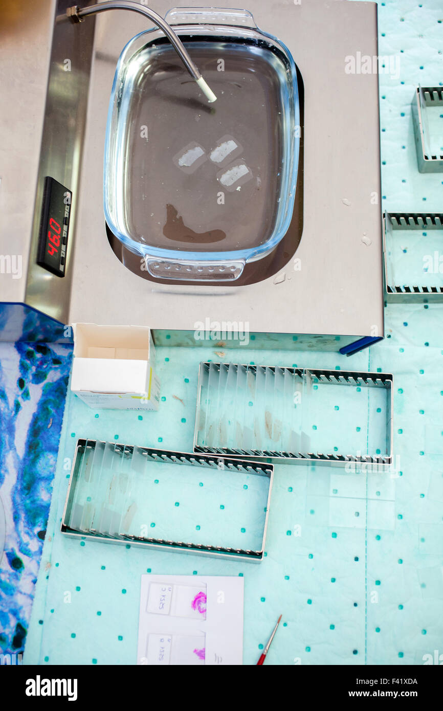 Tools and other instruments in a chemical laboratory Stock Photo - Alamy
