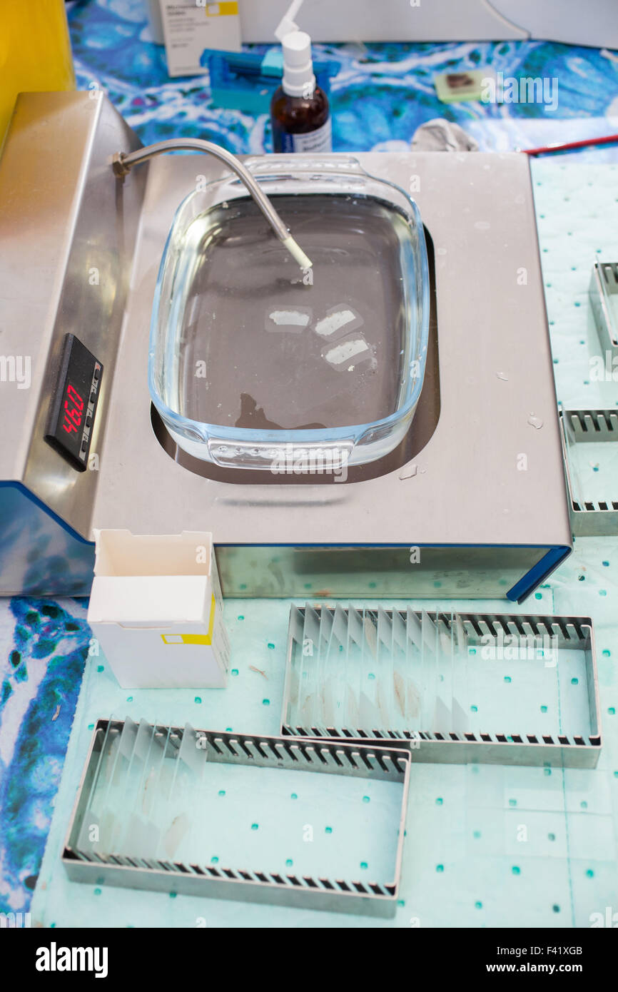 Tools and other instruments in a chemical laboratory Stock Photo - Alamy