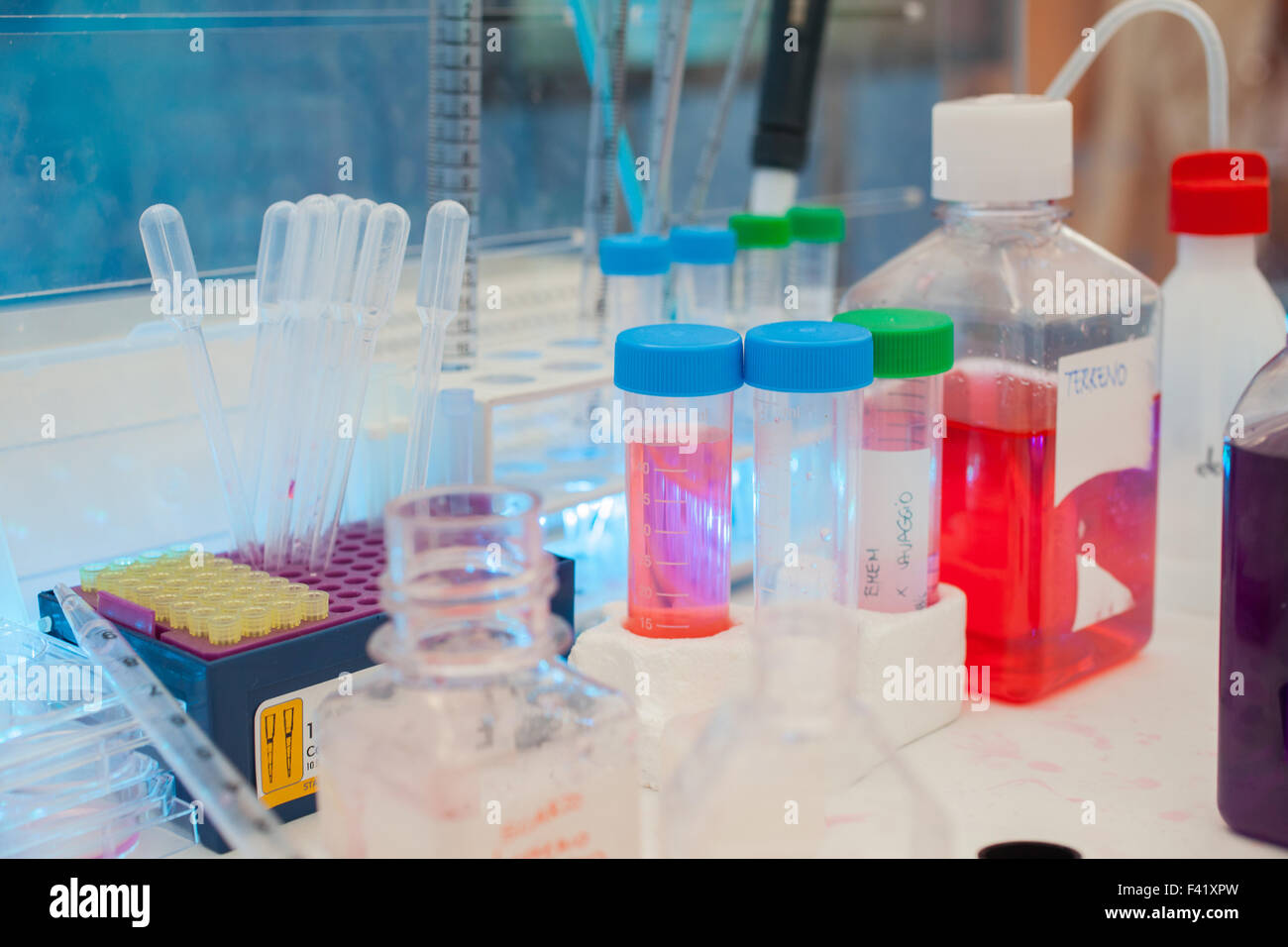 Close up of test tubes in the laboratory Stock Photo - Alamy