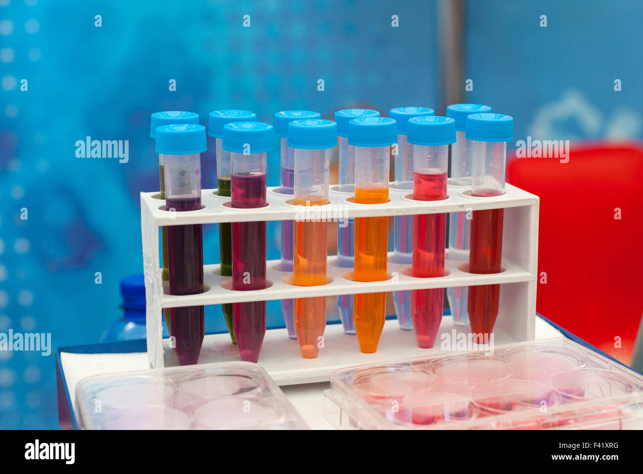 Close up of test tubes in the laboratory Stock Photo - Alamy