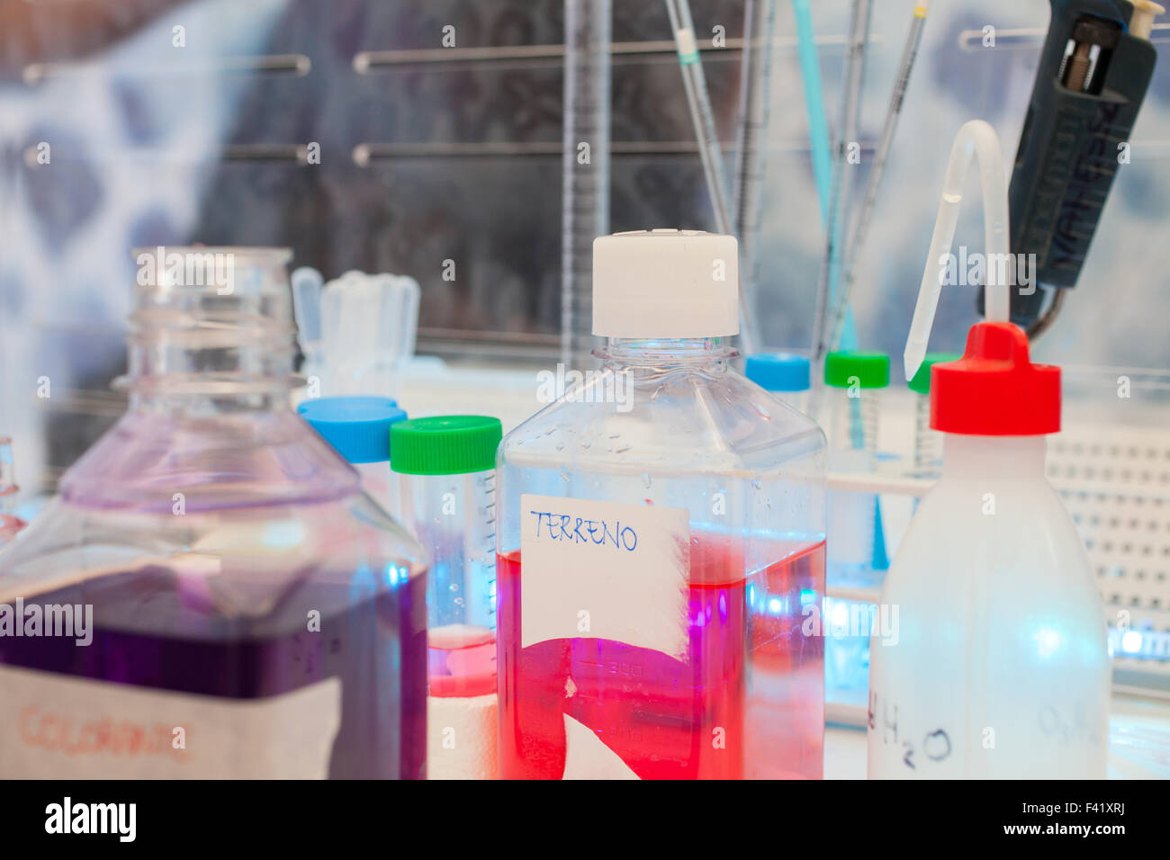Close up of test tubes in the laboratory Stock Photo - Alamy