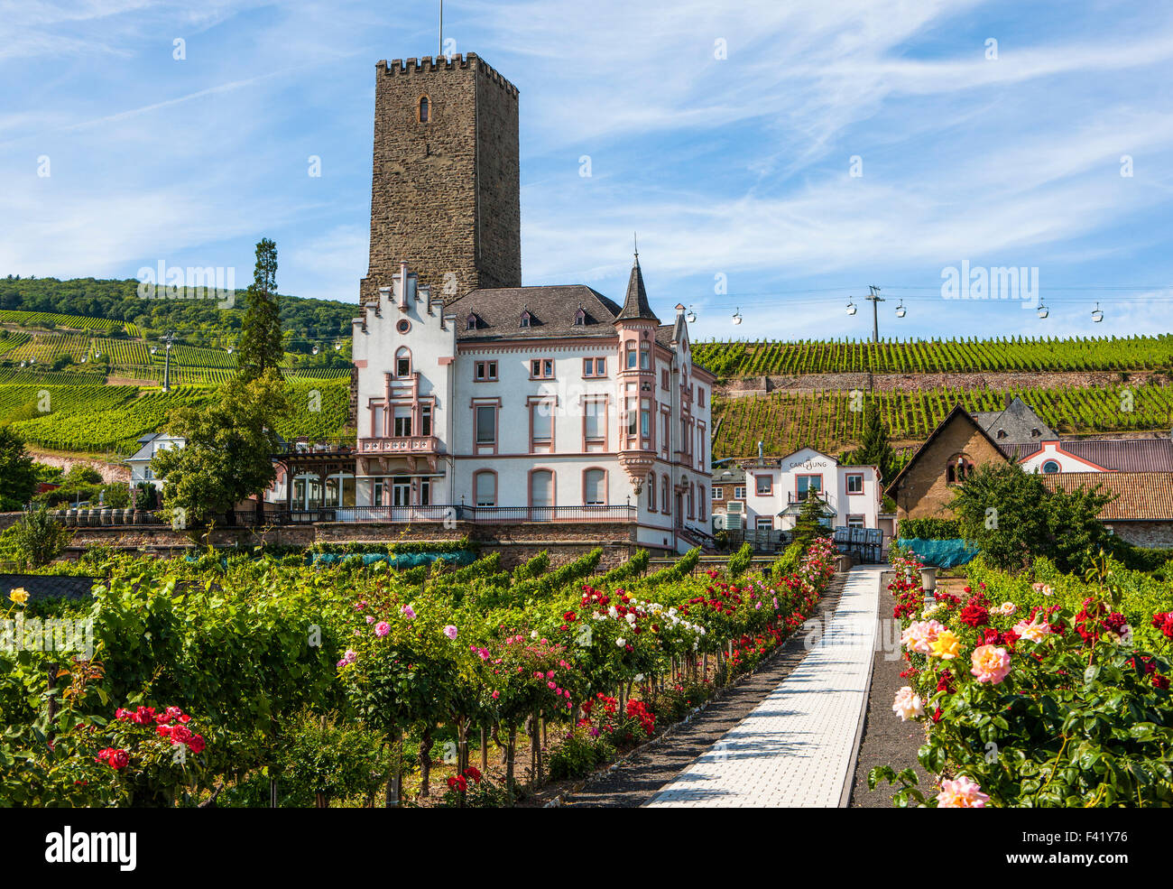 Rudesheim germany hi-res stock photography and images - Alamy