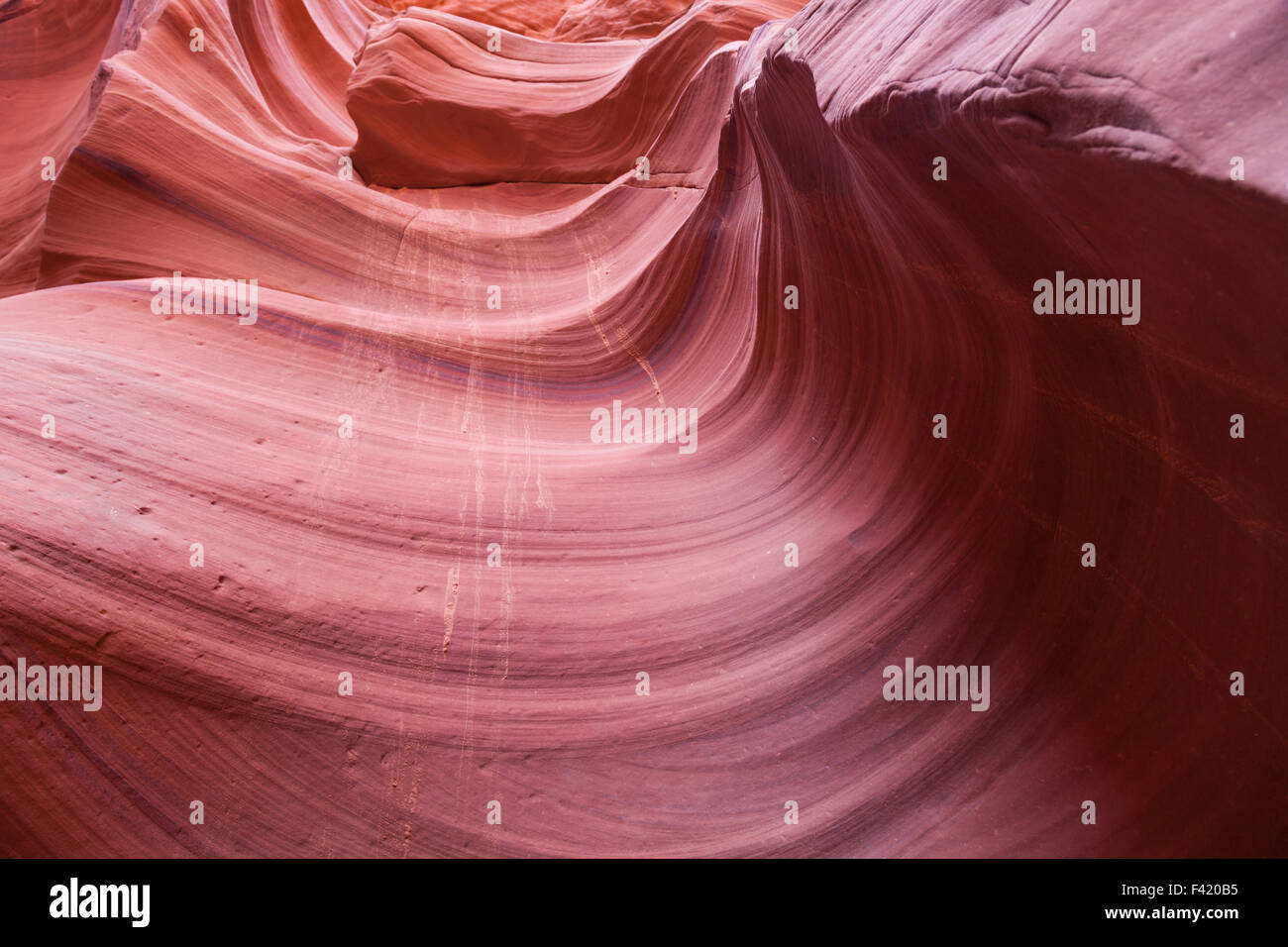 A swirling, carved sandstone canyon with dried moisture drippings of ...