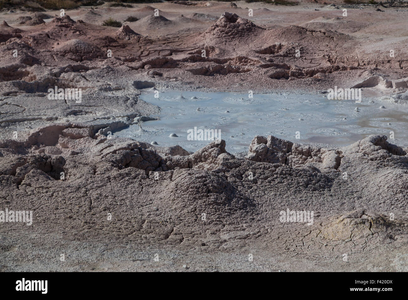 Gas bubbles popping on the surface of a mud pool surrounded my dried ...