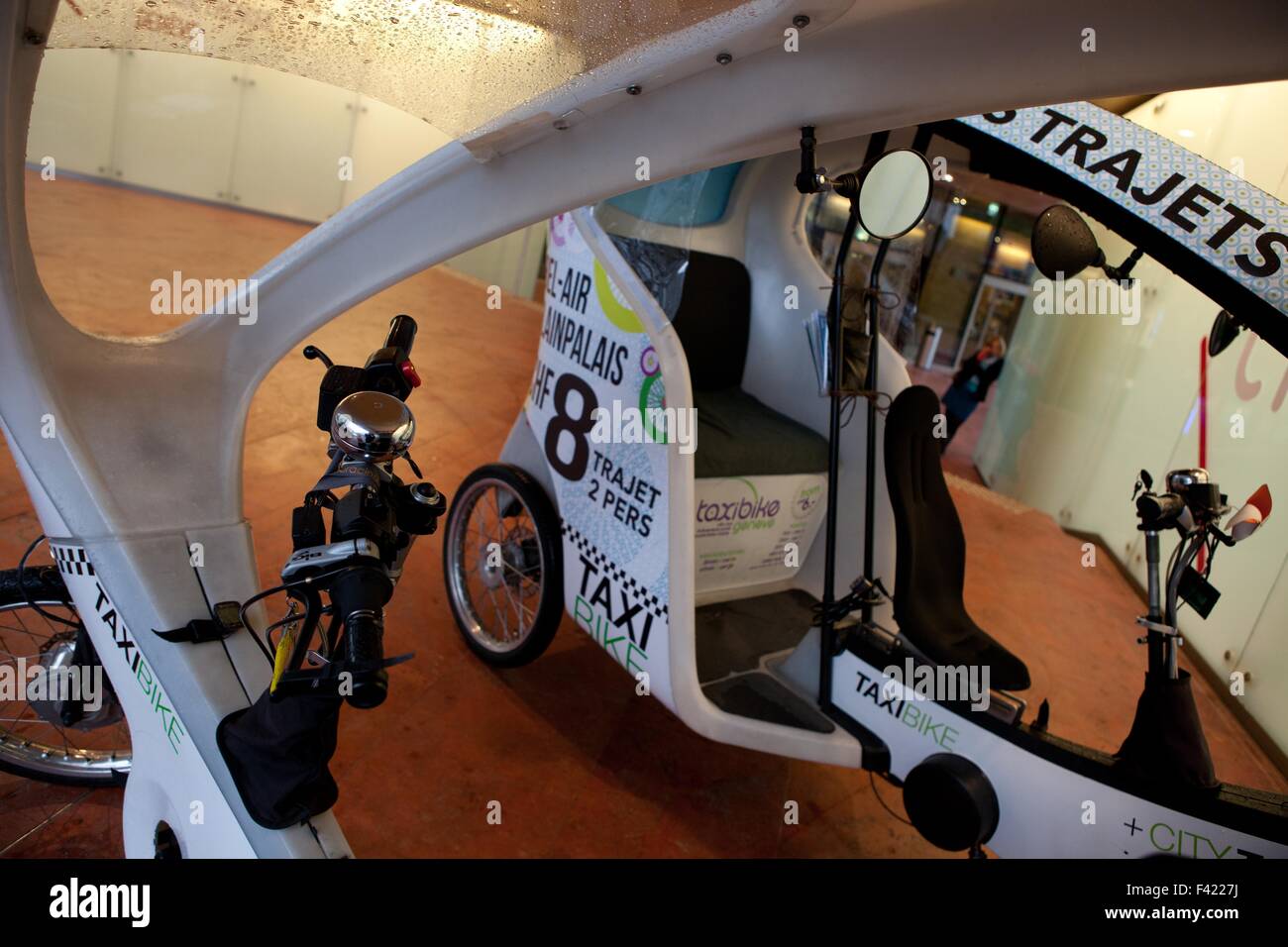 Green Cross International, Geneva, Switzerland, International Conference for green and inclusive ...