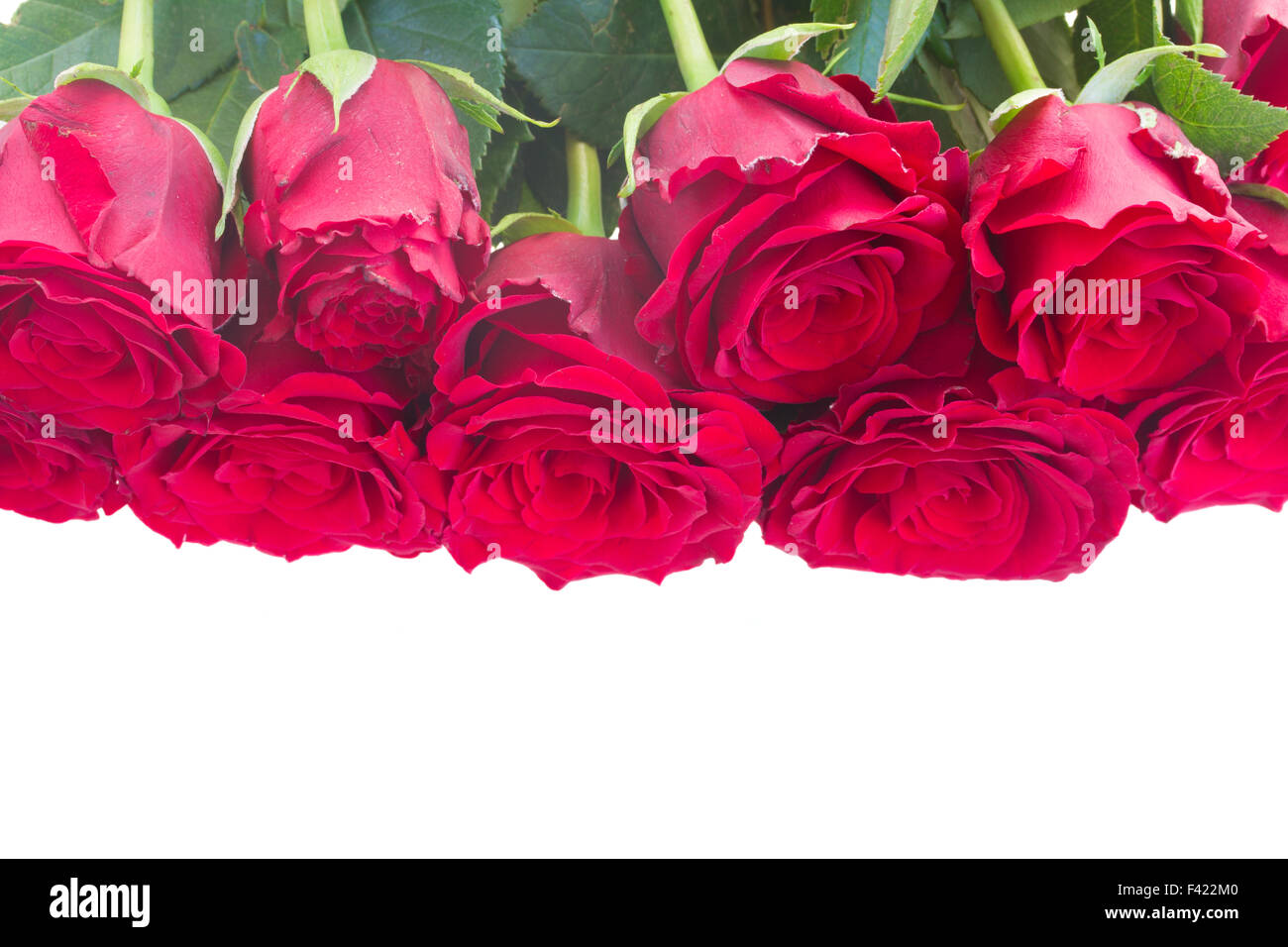 Border of red roses Stock Photo - Alamy