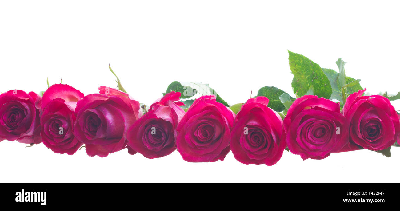 Pile of roses hi-res stock photography and images - Alamy