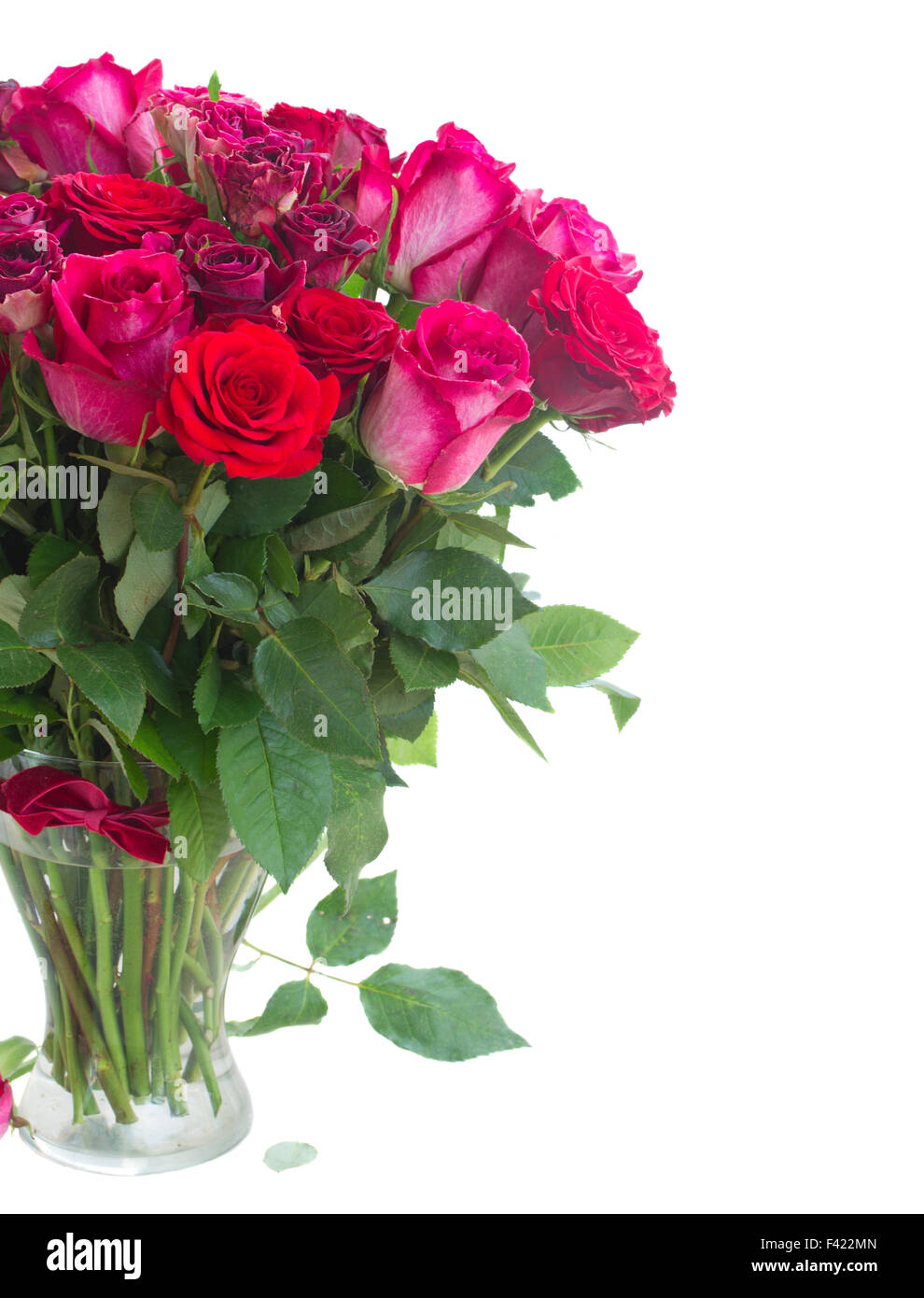 Border of red and pink roses Stock Photo - Alamy