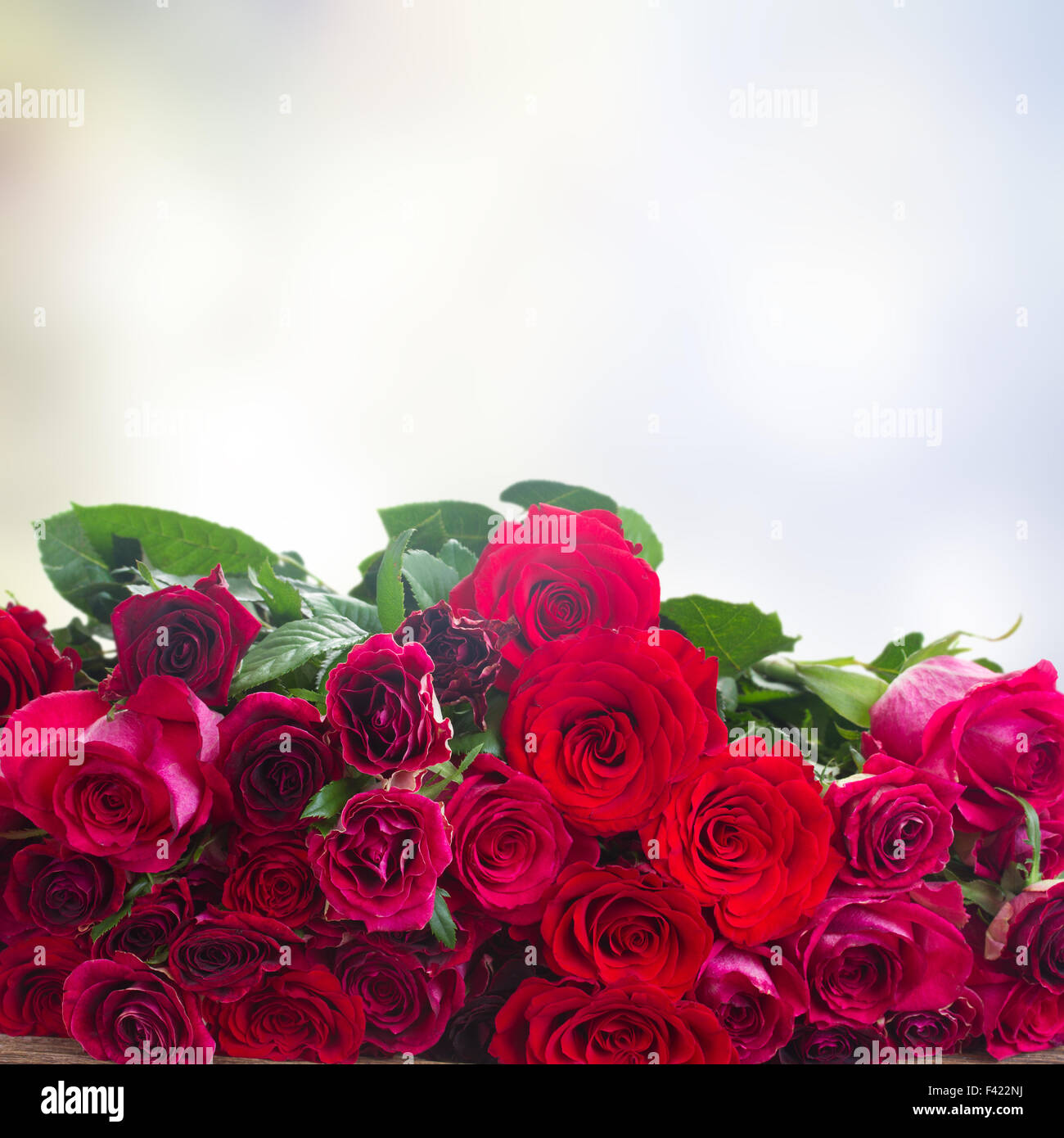 Border of red roses Stock Photo - Alamy