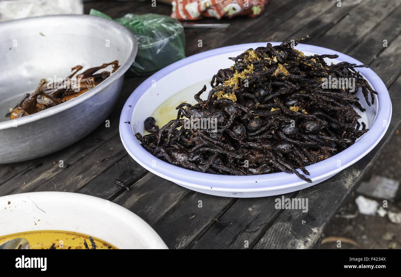 Chicken spiders hi-res stock photography and images - Alamy