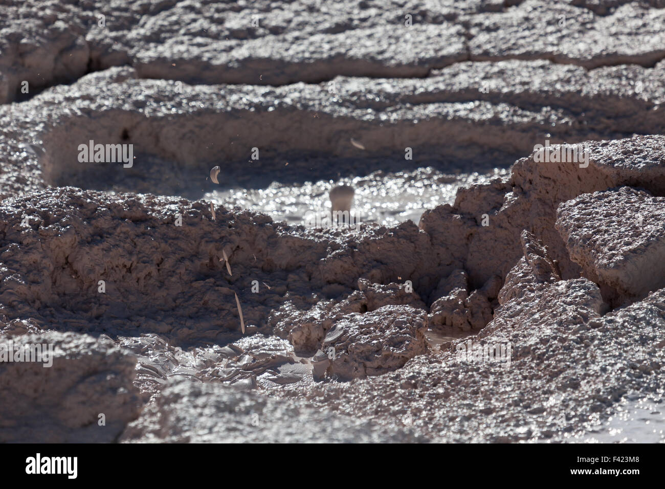 Gas bubbles popping on the surface of a mud pool surrounded my dried ...