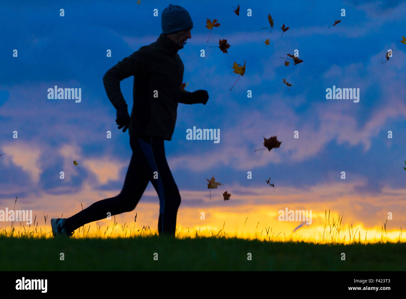 Windy autumn hi-res stock photography and images - Alamy