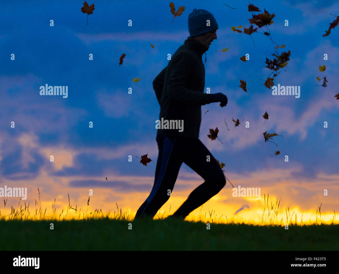 Jogger at sunrise autumn uk hi-res stock photography and images - Alamy