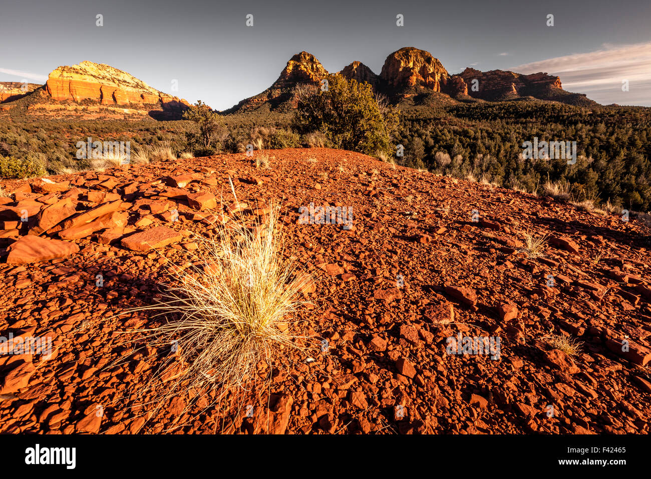 Evening scenic view of Red Rocks buttes in Sedona, Arizona with a patch ...