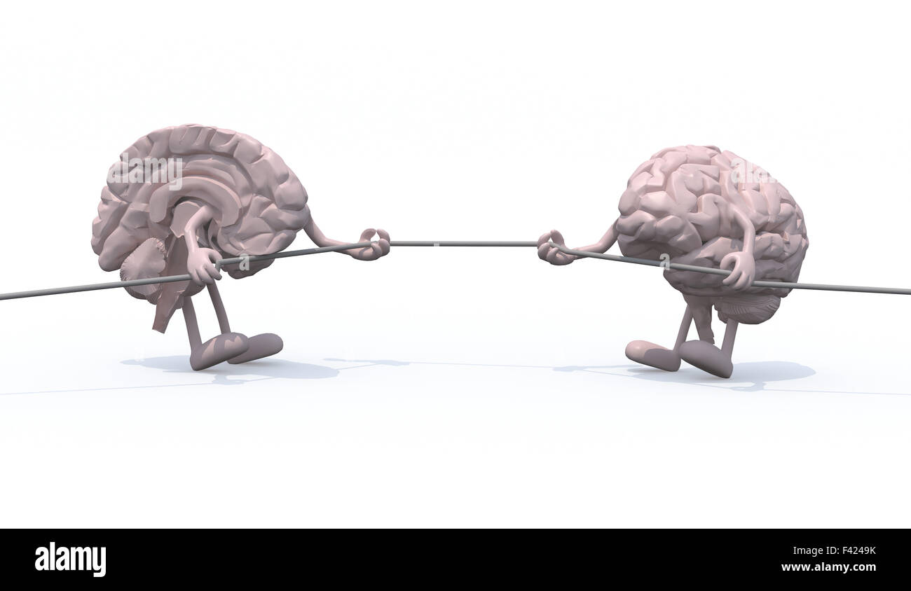 With half brain hi-res stock photography and images - Alamy