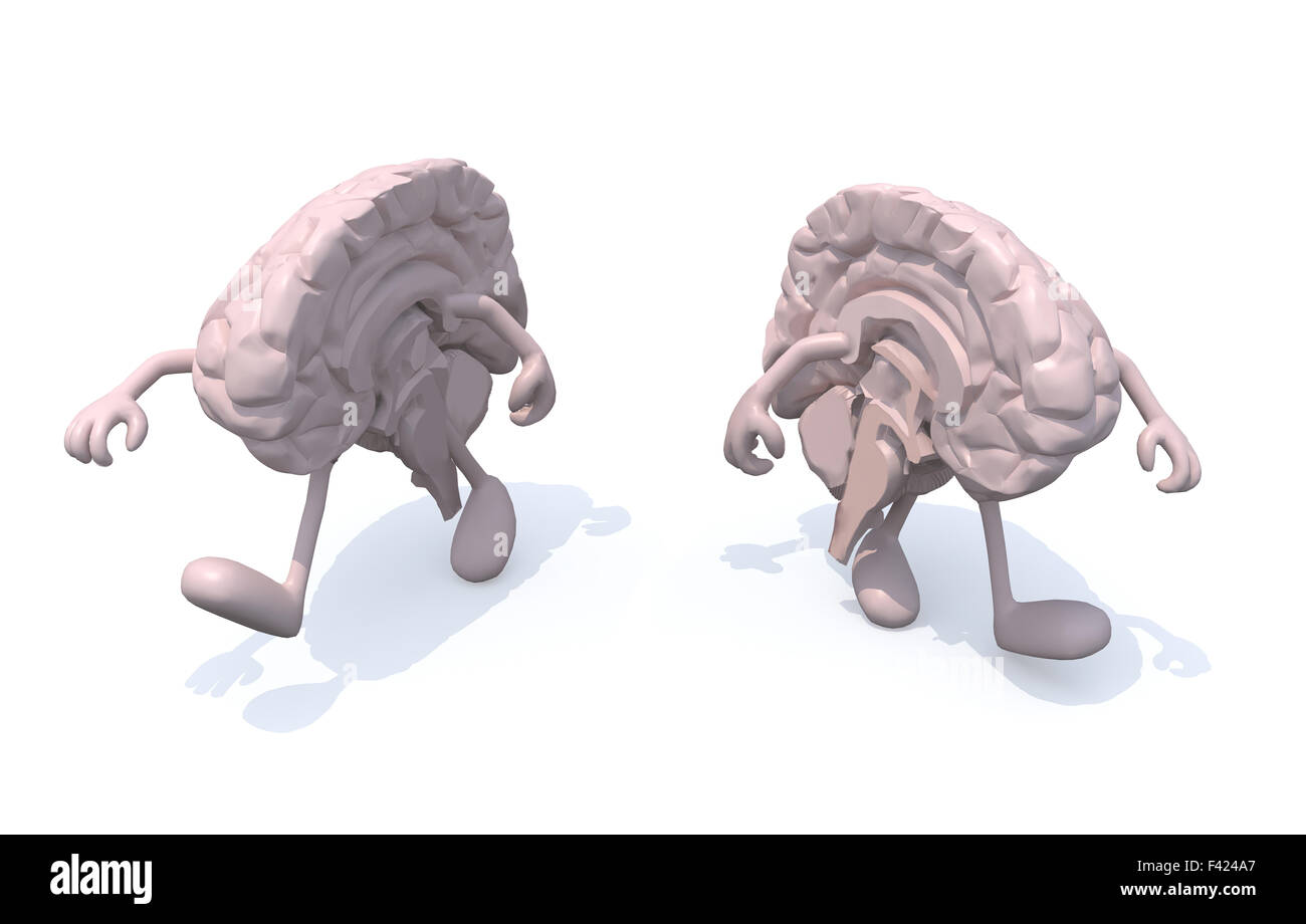 two half brains that walk, 3d illustration Stock Photo - Alamy