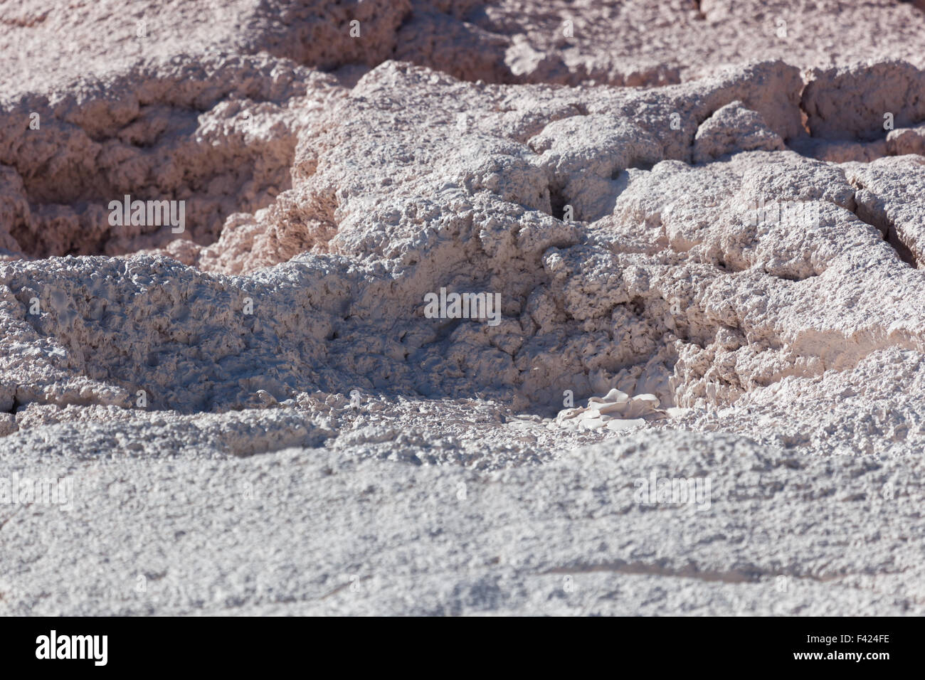 Gas bubbles coming to the surface in thick mud pools creating wide ...