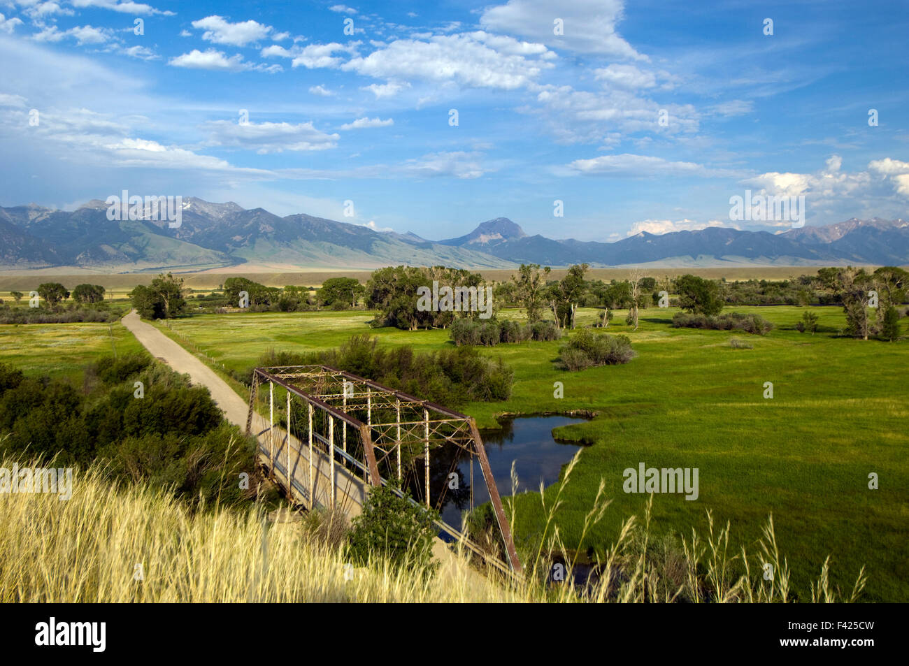 Madison River Montana High Resolution Stock Photography and Images - Alamy