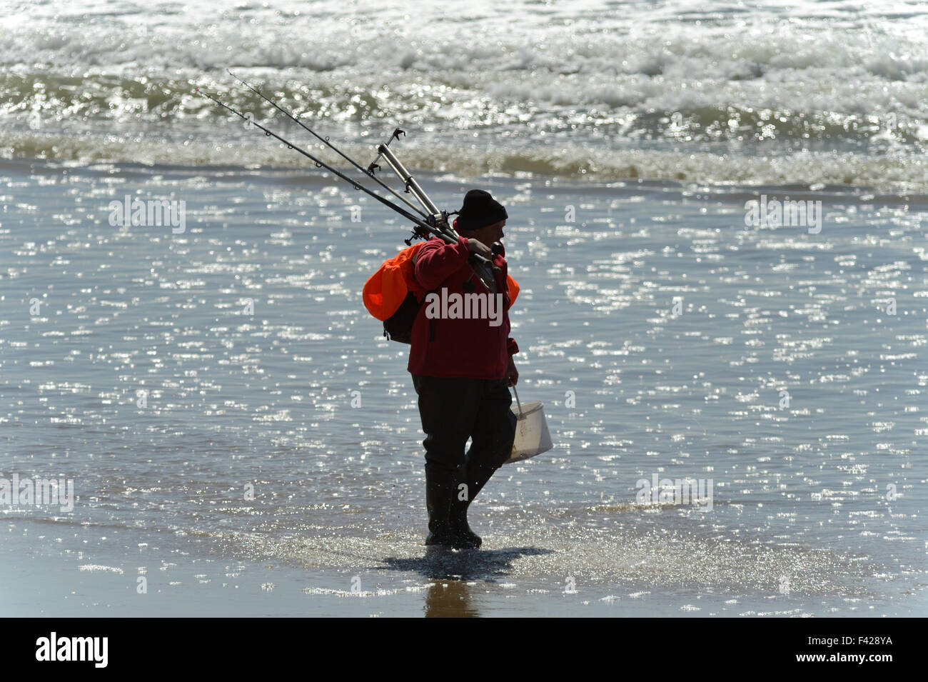 fisherman with rods on shoulder walks the strand line for a spot of ...