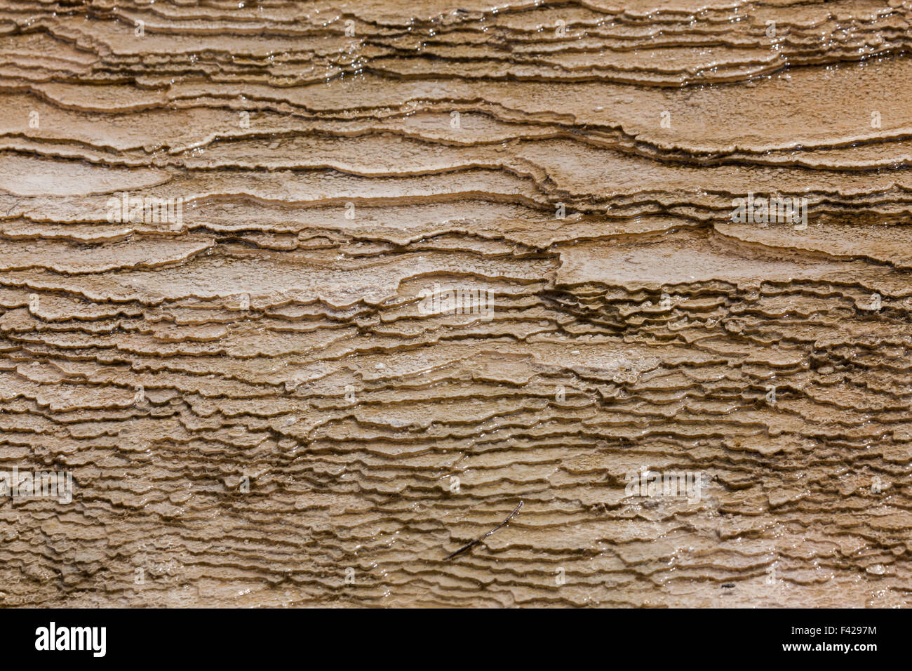 Cascading layers of hot water mineral flow with live bacteria creating ...