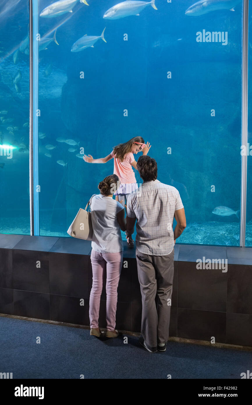Happy family looking at fish tank Stock Photo - Alamy